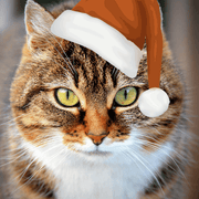 Тема для экспериментов и общения v2023 - Discuss Scratch