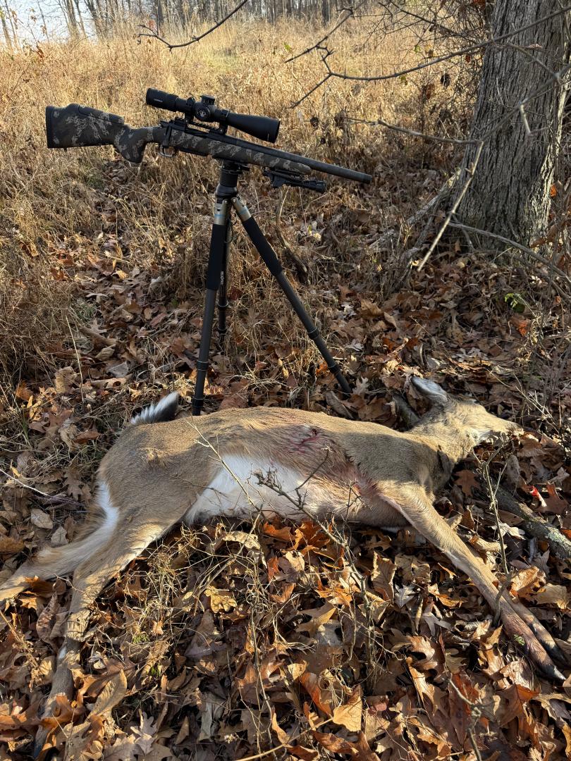 Straight-Walled Cartridge Midwestern Deer Rifles: What, Why, and Do ...