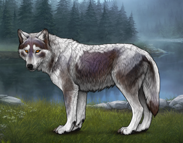 Cheshires Chased Records. [DNR] |:| Wolvden