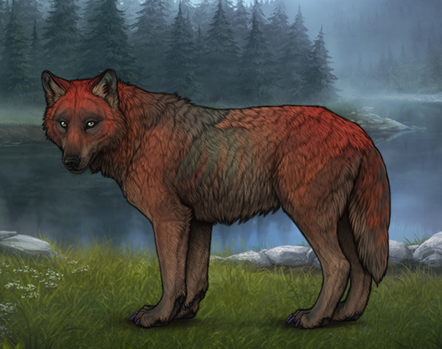 Cheshires Chased Records. [DNR] |:| Wolvden