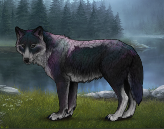 Cheshires Chased Records. [DNR] |:| Wolvden