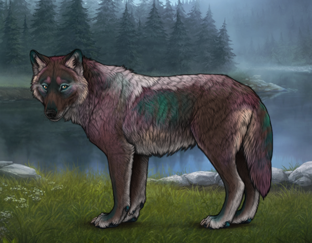 Cheshires Chased Records. [DNR] |:| Wolvden