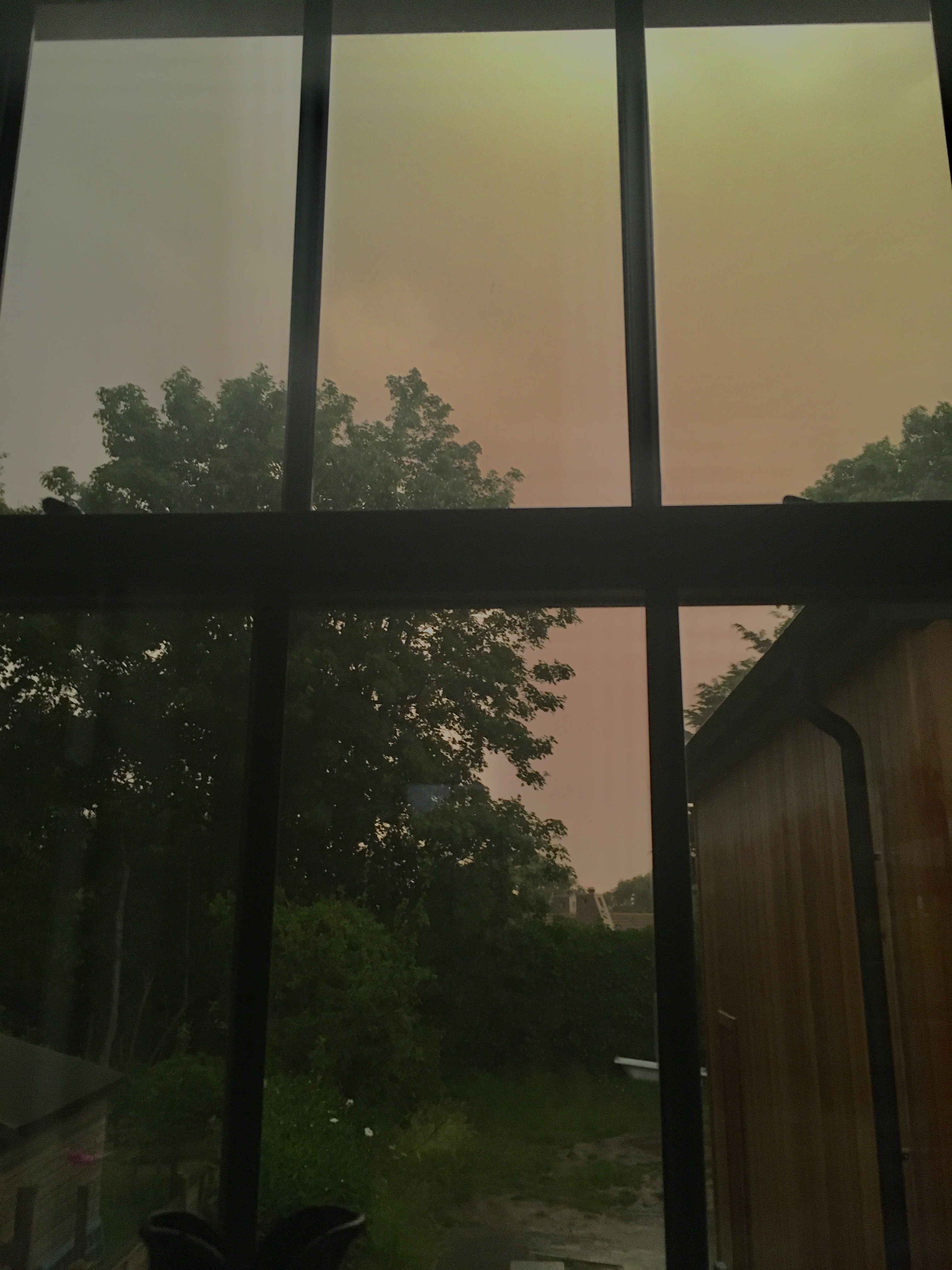 The view outside of my window during a thunderstorm a few days ago : r ...