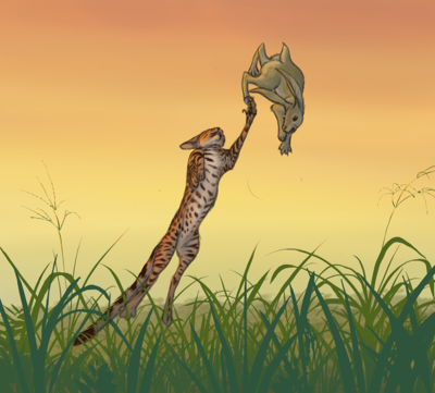 Speculative Evolution -> Planet Cat Sanctuary