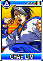 Info - SNK vs. Capcom: Card Fighters DS - Card Gallery | Sanctuary