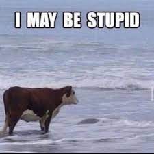 Smooth Movement wall collisions - Discuss Scratch