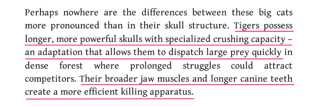 Tiger vs. Lion: Body Morphology, Adaptations, and Hunting Strategies ...