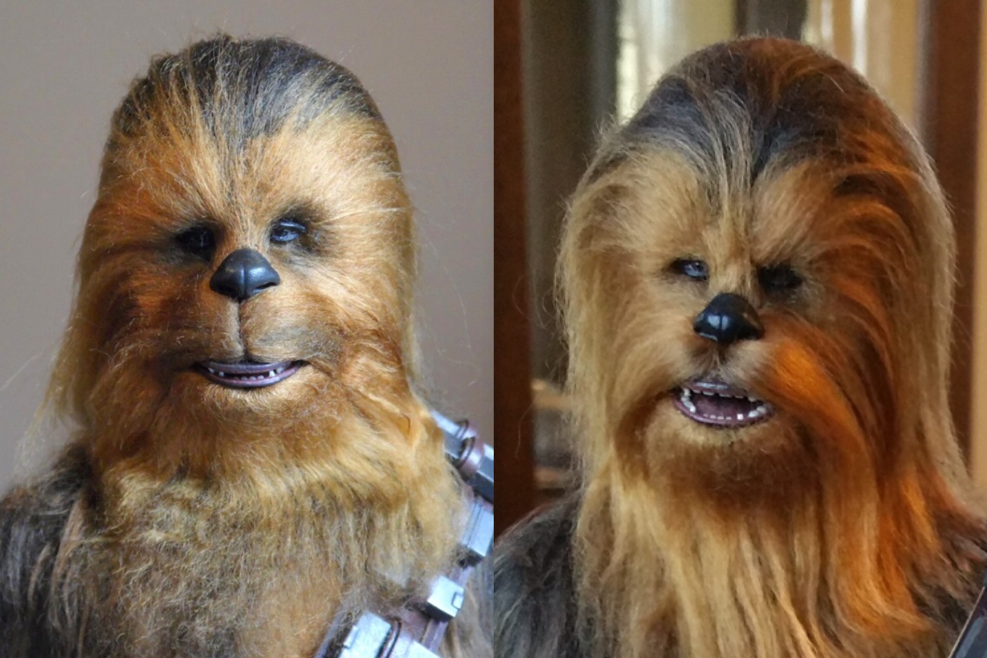 Hot Toys MMS 375 The Force Awakens Ep VII Chewbacca - Custom ...