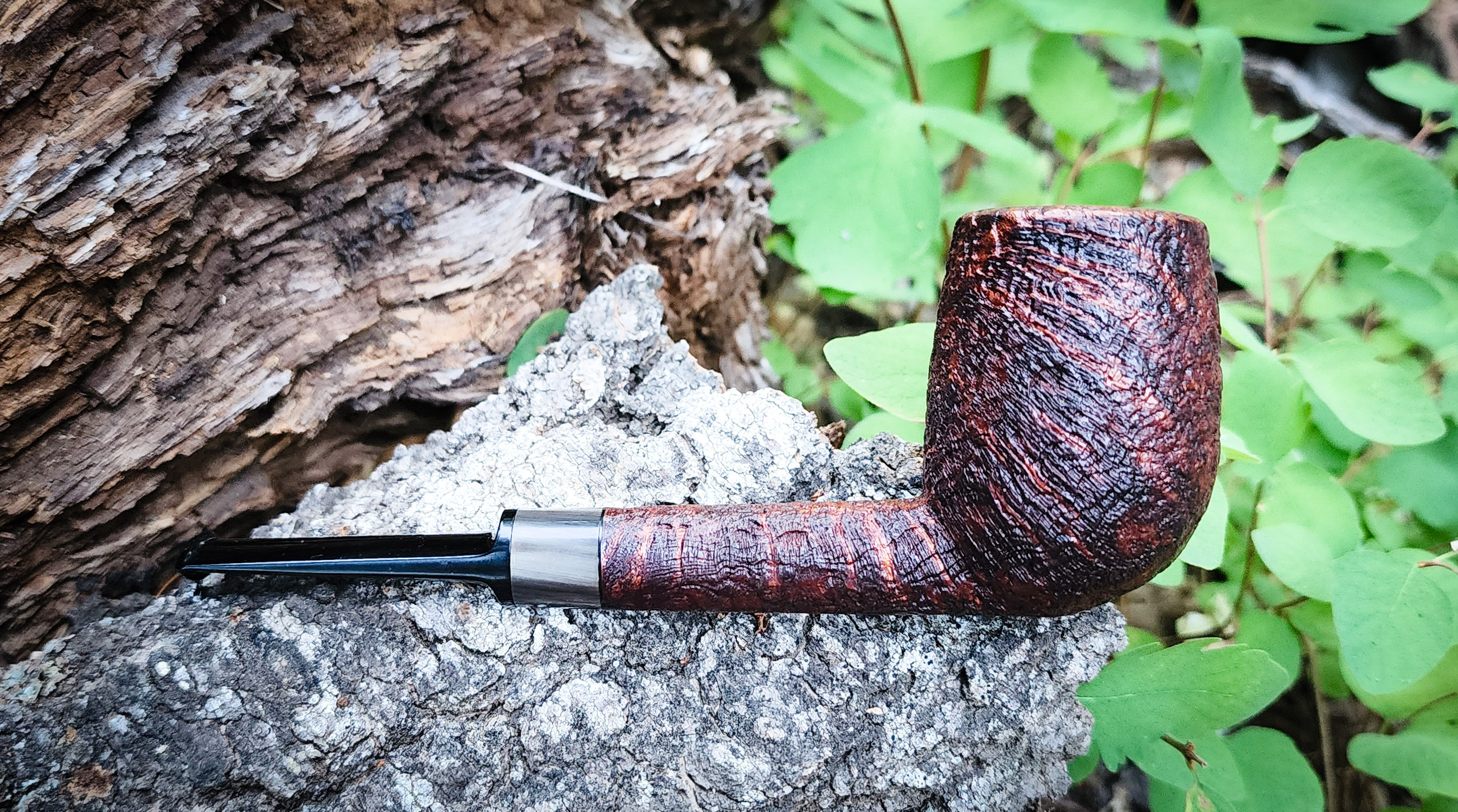 Show Your Sitters | Pipe Smokers Den