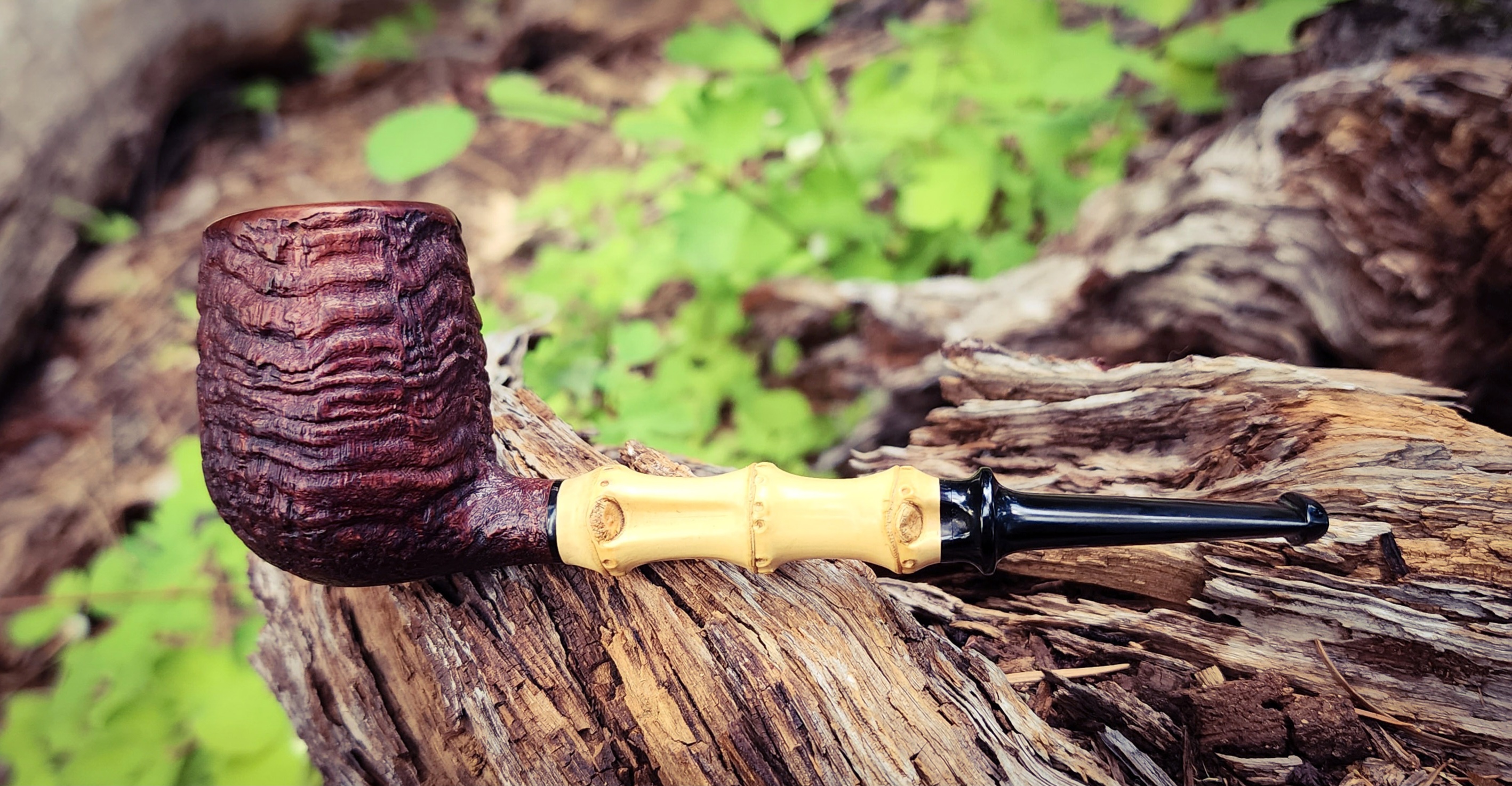 Show Your Sitters | Pipe Smokers Den