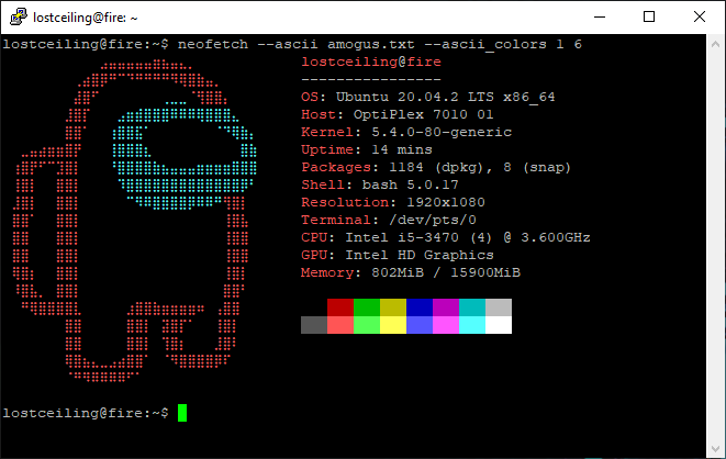 Terminal Customization and Neofetch - Discuss Scratch