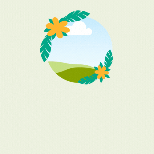 Ballyrag's Banners + Thumbnails | Designs that sparkle more than stars ...