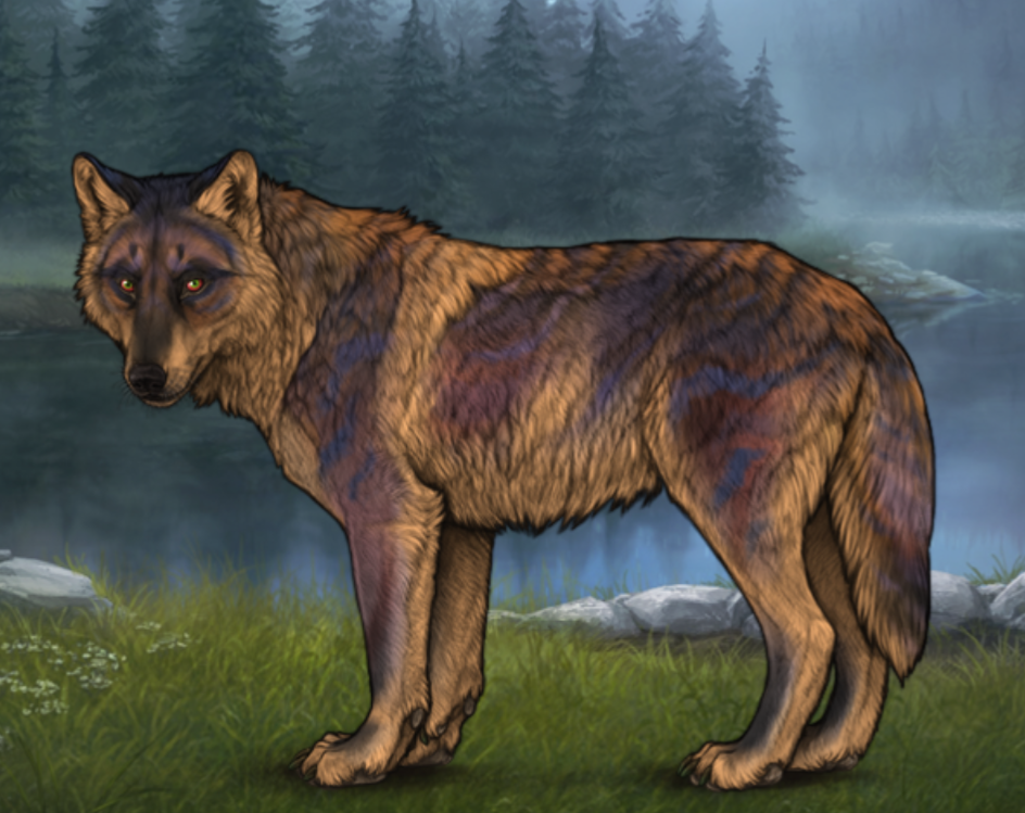 Chased Wolf Spotting - Revamped |:| Wolvden
