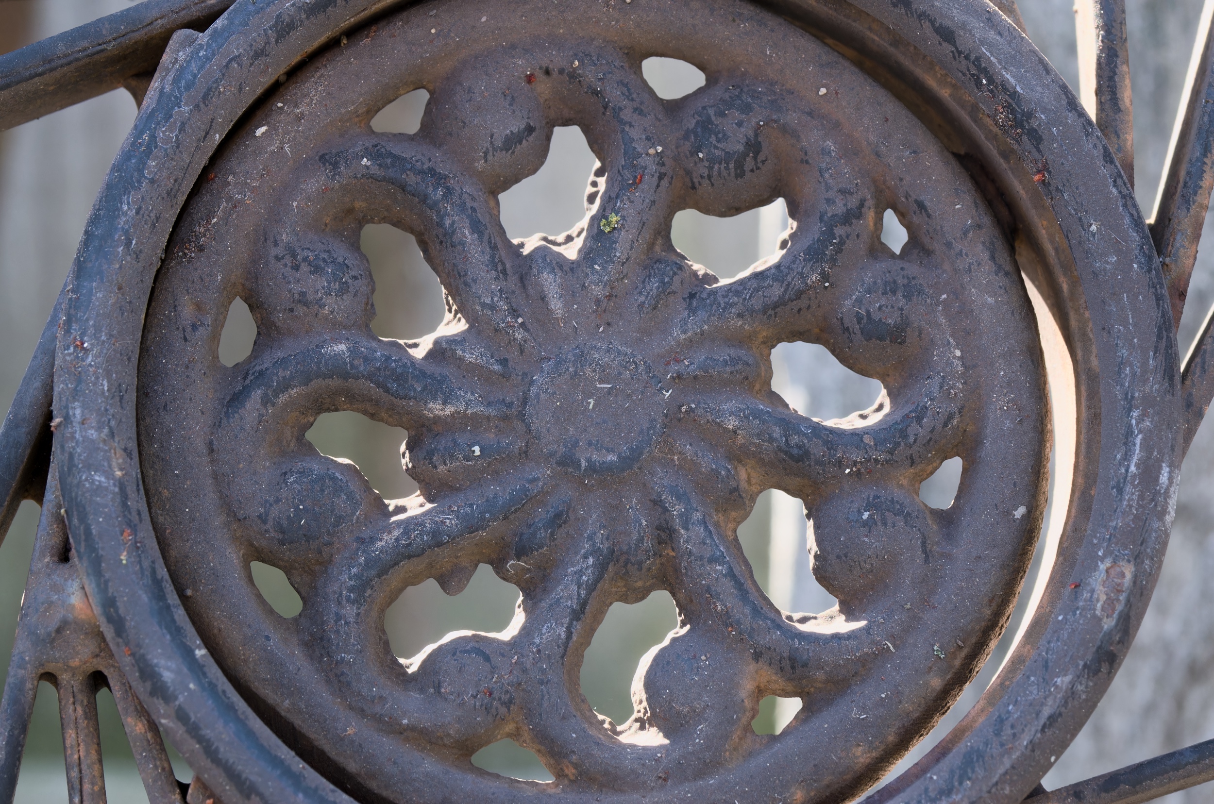 A few random macro photos from around the house - PentaxForums.com