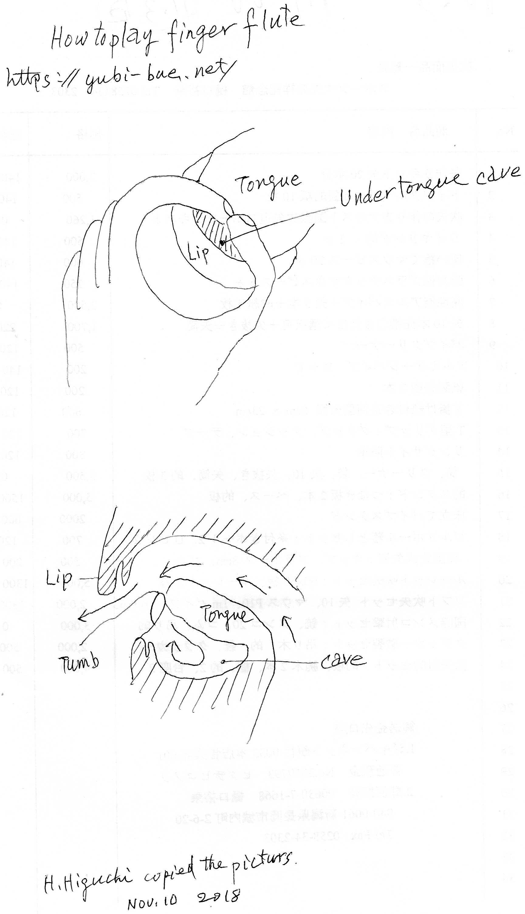 Finger flute - Blowgun Forum