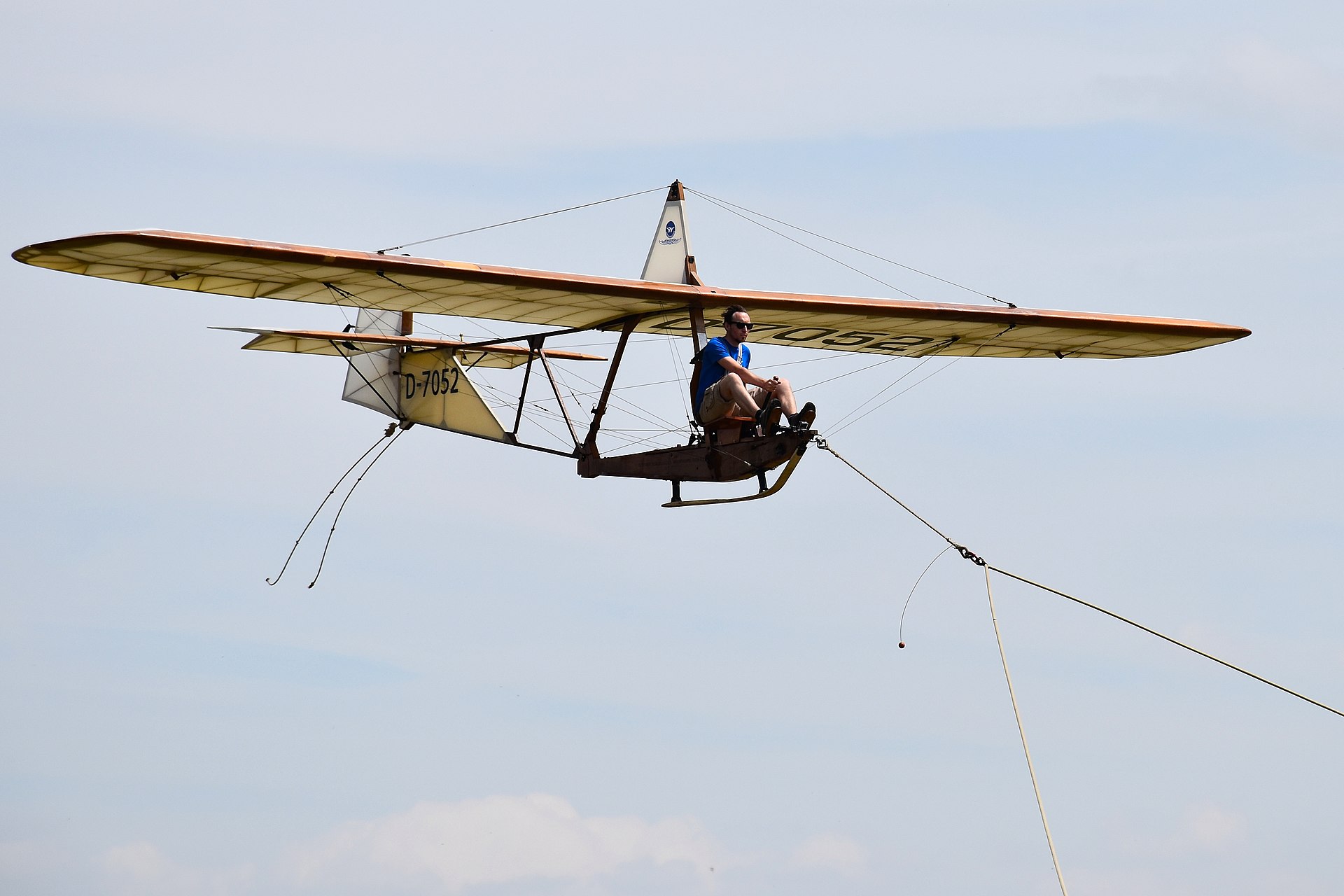 Fun Facts & Interesting Statistics - Discuss Scratch