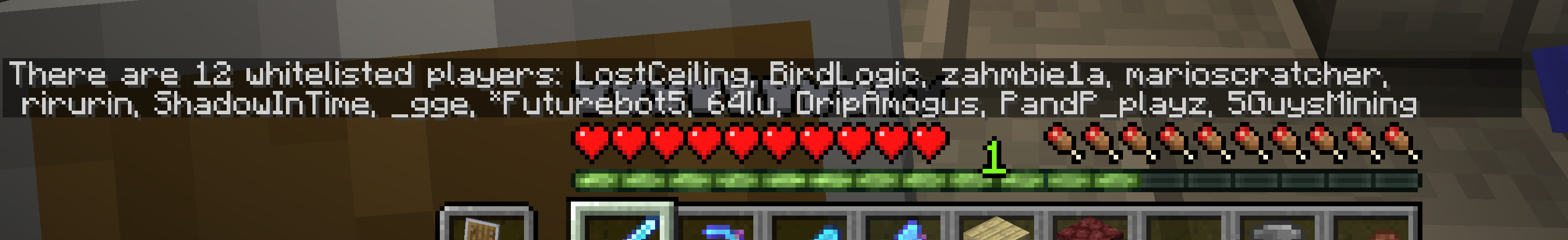 (Minecraft) Scratching The Surface: Recoded Server Topic! - Discuss Scratch