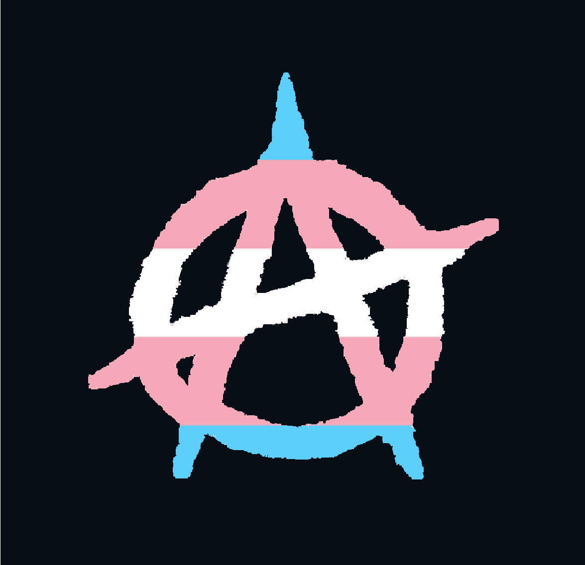 Tranarchist/general trans leftist flags? : LateStageGenderBinary