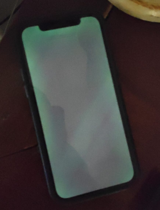 iPhone 12 display quality (green tint) : r/iPhone12