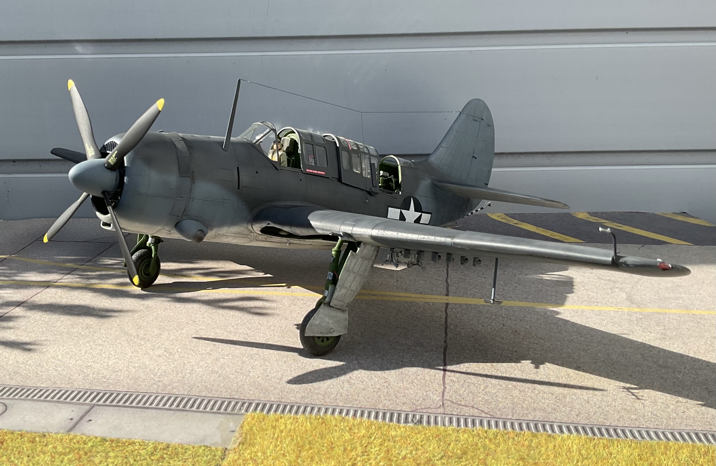 Infinity Models Curtiss Helldiver - Ready for Inspection - Large Scale ...