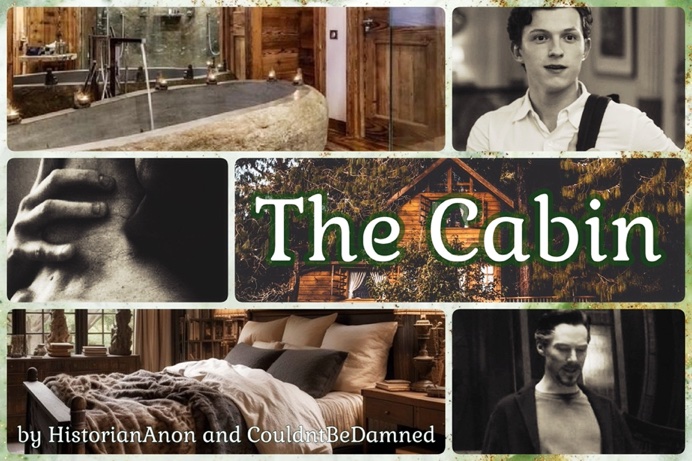 The Cabin - Chapter 8 - CouldntBeDamned, HistorianAnon - Spider-Man ...