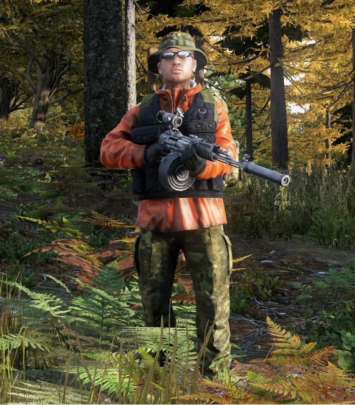 AKM or AK74 as main? : dayz