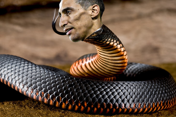 150th appearance from our Magnifico! : r/reddevils